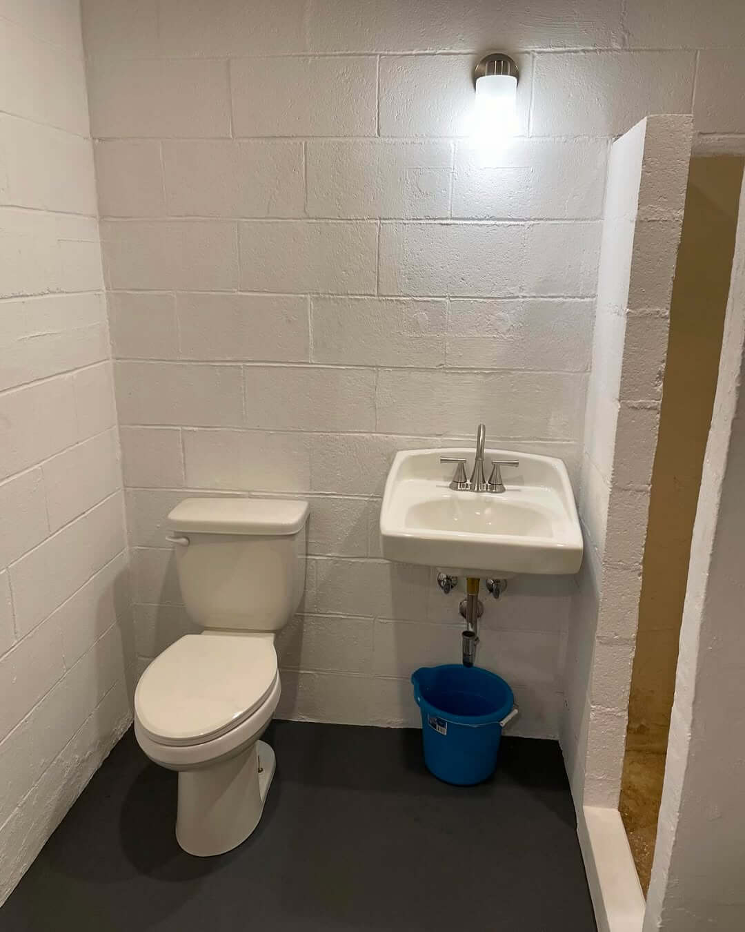 Best 19+ Basement Bathroom Designs for Small & Large Spaces