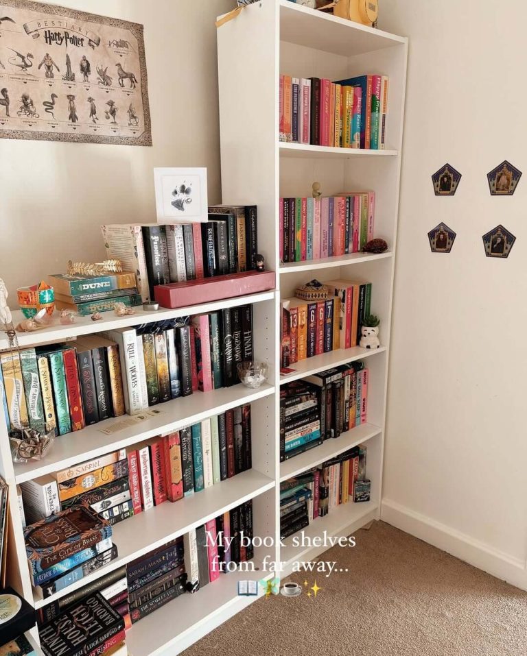 Creative Bookshelf Ideas to Elevate Your Space