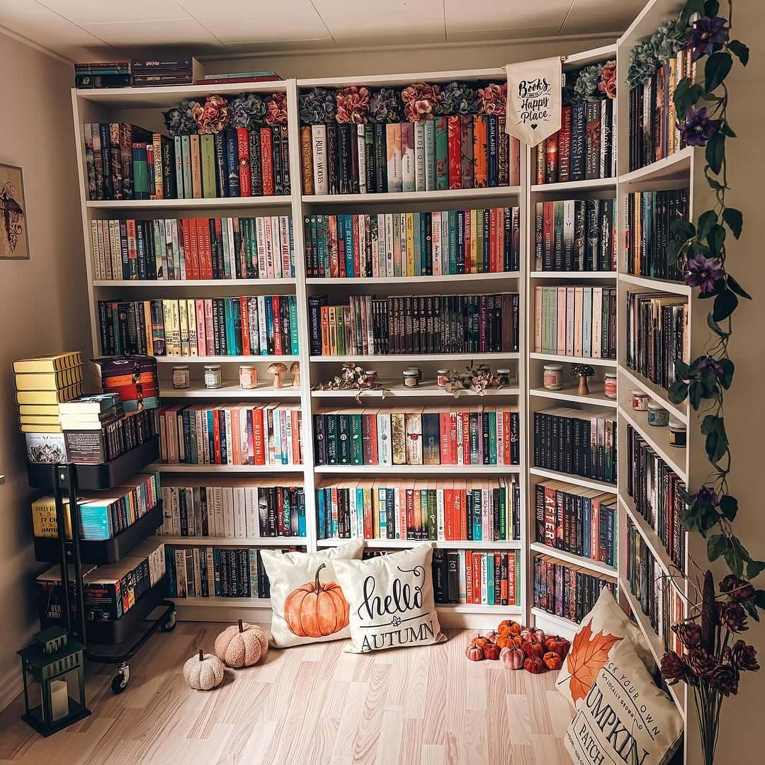 Creative Bookshelf Ideas to Elevate Your Space