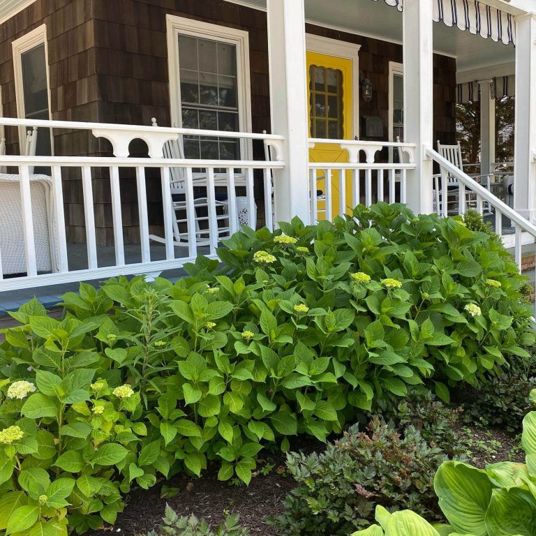 Stunning Porch Railing Ideas That Instantly Elevate Your Curb Appeal