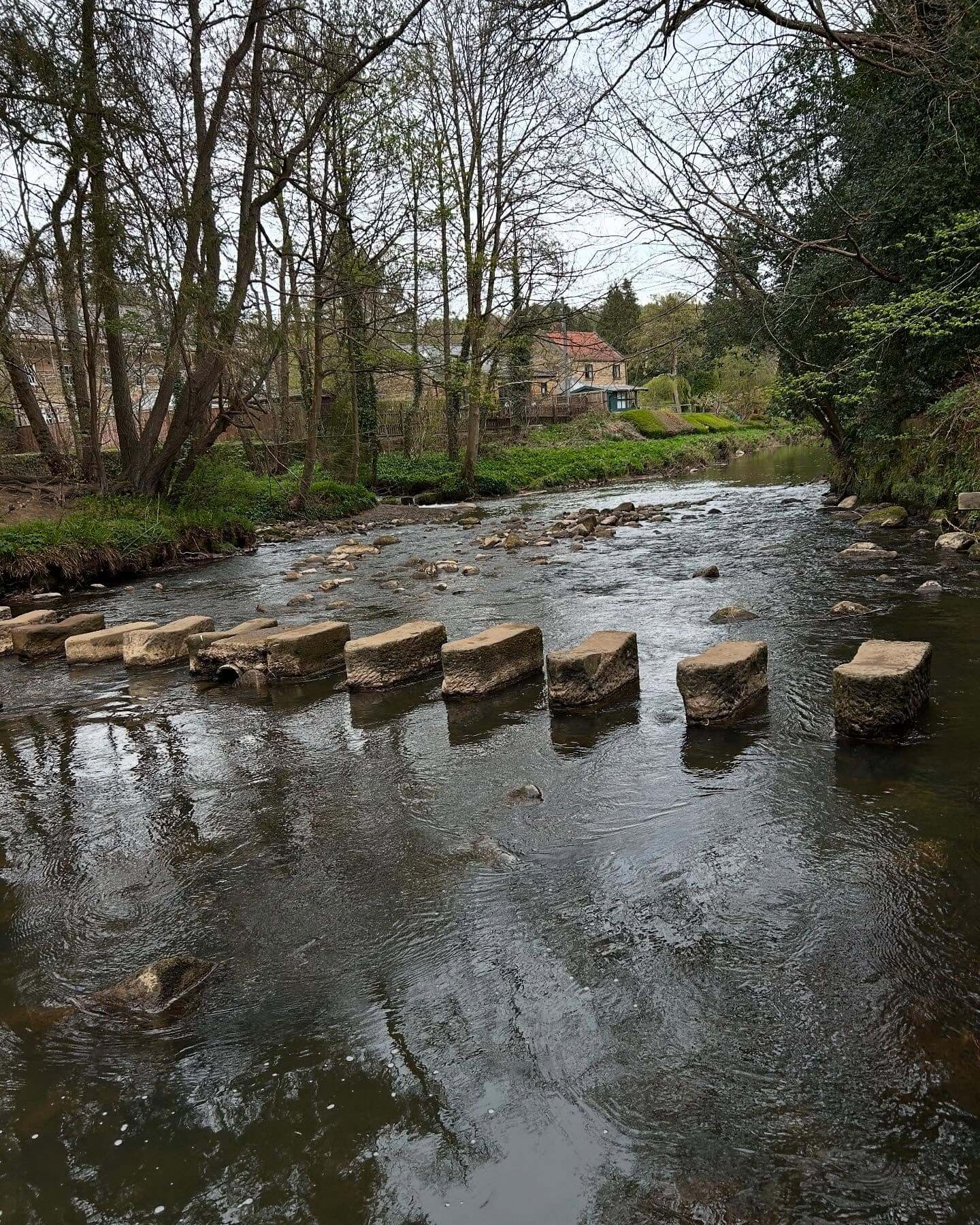 Creative Stepping Stone Ideas to Transform Your Garden Path